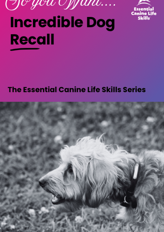 So, You Want Incredible Dog Recall Book | Essential Canine Life Skills